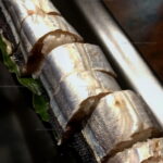 33 Unforgettable Japanese Fish Dishes Worth Tasting - Picture Perfect Meals